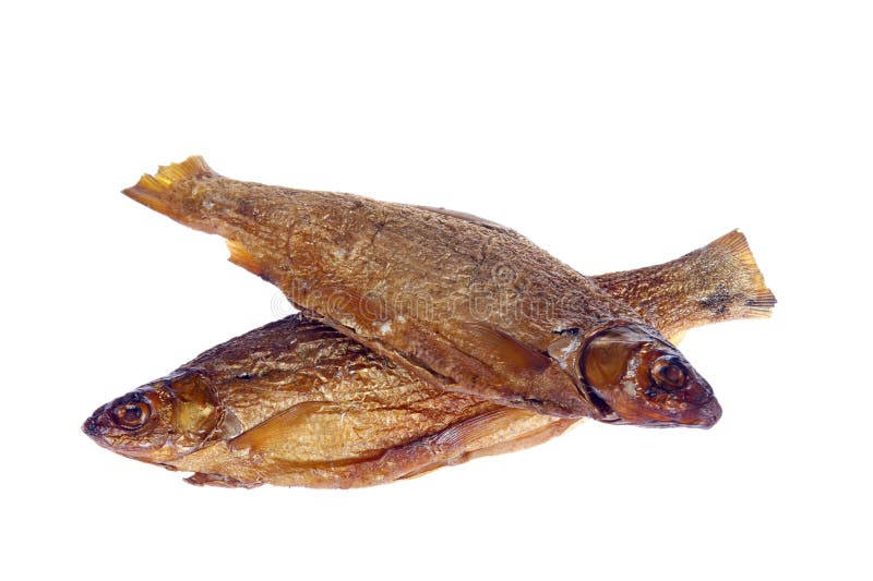 Delicious Grilled Fish on a White Background Stock Illustration ...