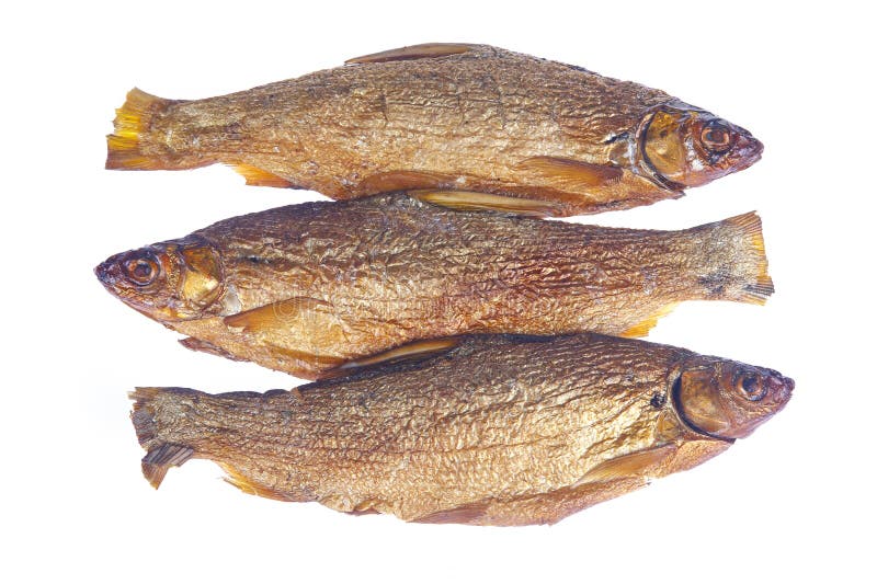 Delicious Grilled Fish on a White Background Stock Illustration ...