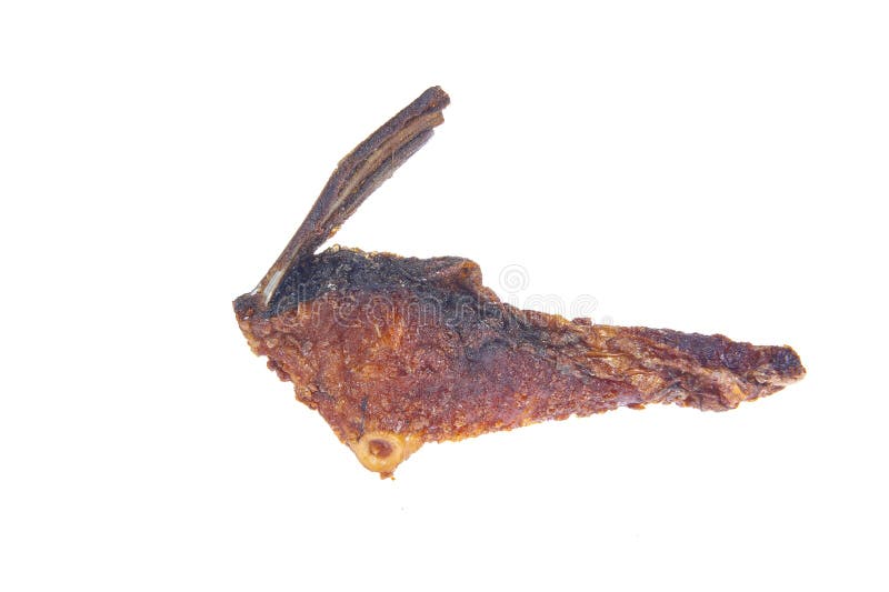 Delicious Grilled Fish on a White Background Stock Illustration ...