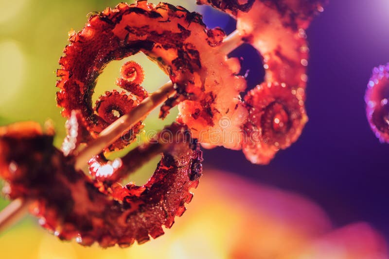 Delicious Grilled Octopus Tentacles on Stick on Color Background Macro ...