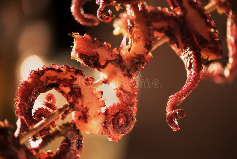 Delicious Grilled Octopus Tentacles on Stick Macro View Stock Image ...