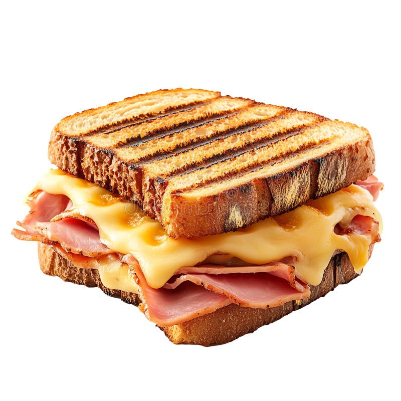 Delicious Grilled Sandwich with Cheese and Ham Layers Stock ...