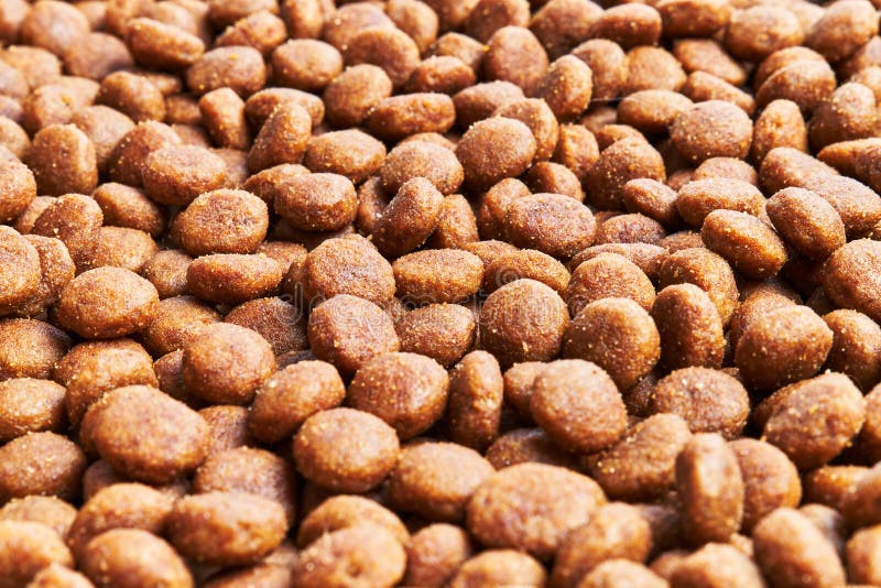 Delicious Group of Dog Food Balls Texture Stock Image - Image of brown ...