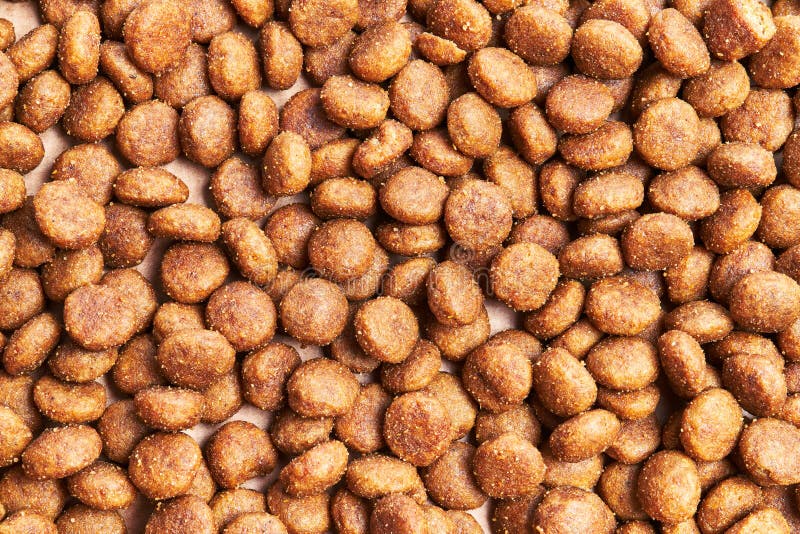 Delicious Group of Dog Food Balls Texture Stock Image - Image of ...