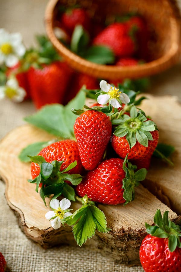 Strawberries and Spring Flowers Stock Photo - Image of fruits, healthy ...