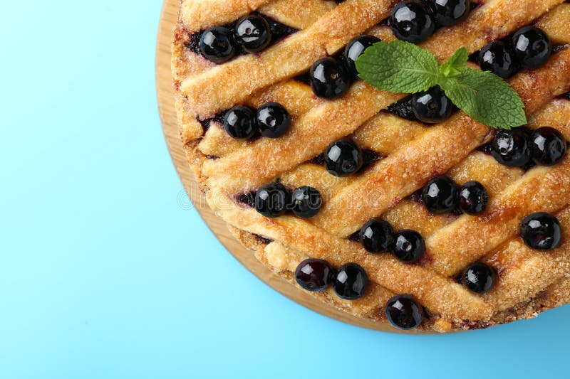 Delicious Homemade Blueberry Pie with Mint on Light Blue Background ...