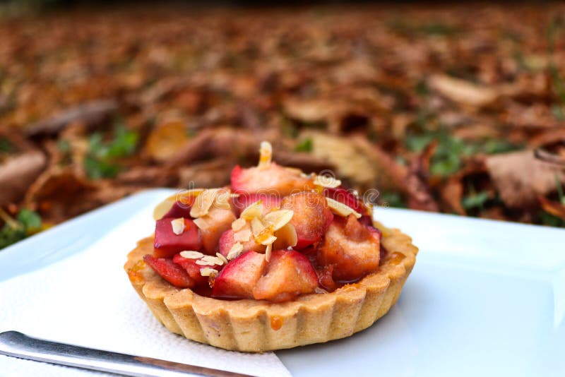 Delicious Homemade Fall Tarlet Stock Photo - Image of fork, food: 140995896