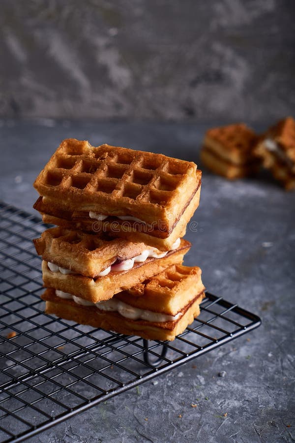 Delicious Homemade Vienna Waffles Served on a Gray Table Vertical Stock ...