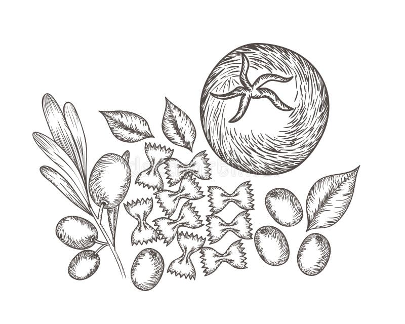 Delicious Italian Food in Drawing Stock Vector - Illustration of ...