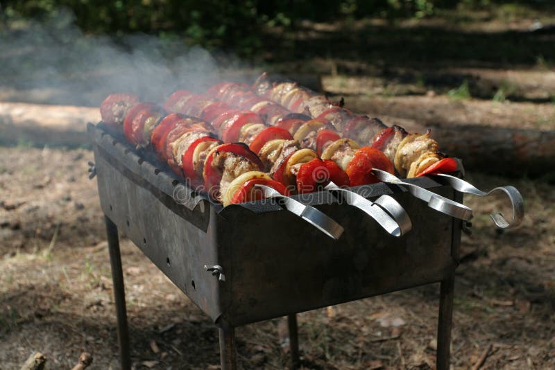 Delicious kebab on BBQ stock photo. Image of smoked, souvlaki - 5692970