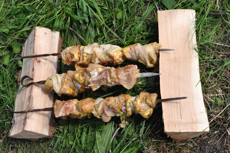 Delicious kebab. stock image. Image of nature, delicious - 81514665