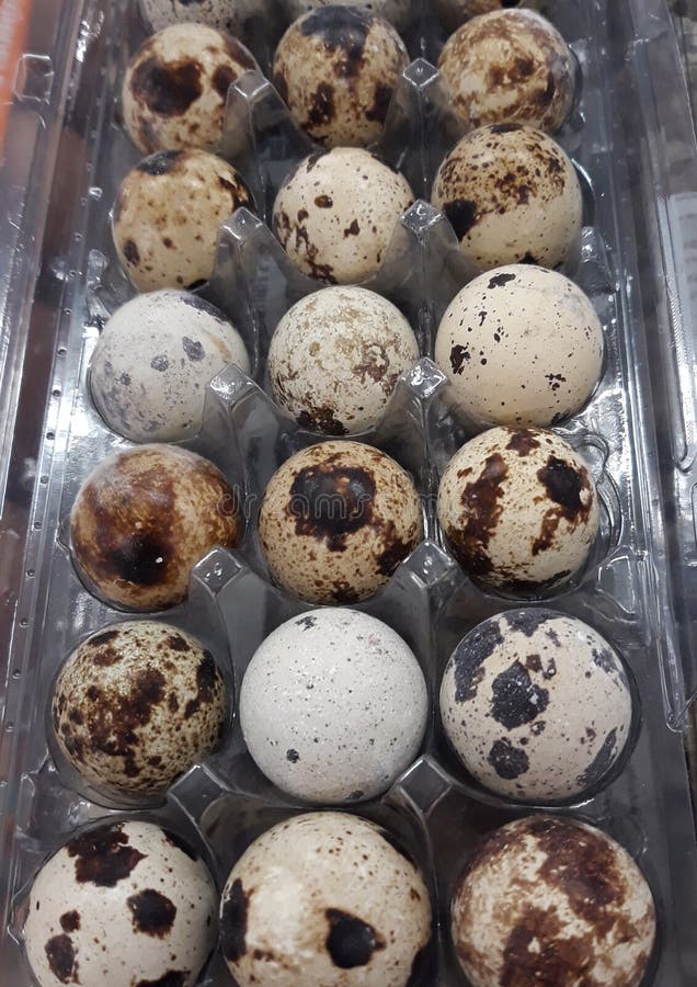 Delicious little eggs stock image. Image of quail, little - 141133931