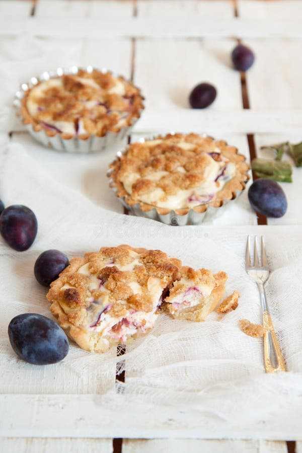 Delicious little tart stock photo. Image of delicious - 21404846
