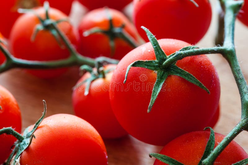 Delicious little tomatoes stock photo. Image of delicious - 44896996