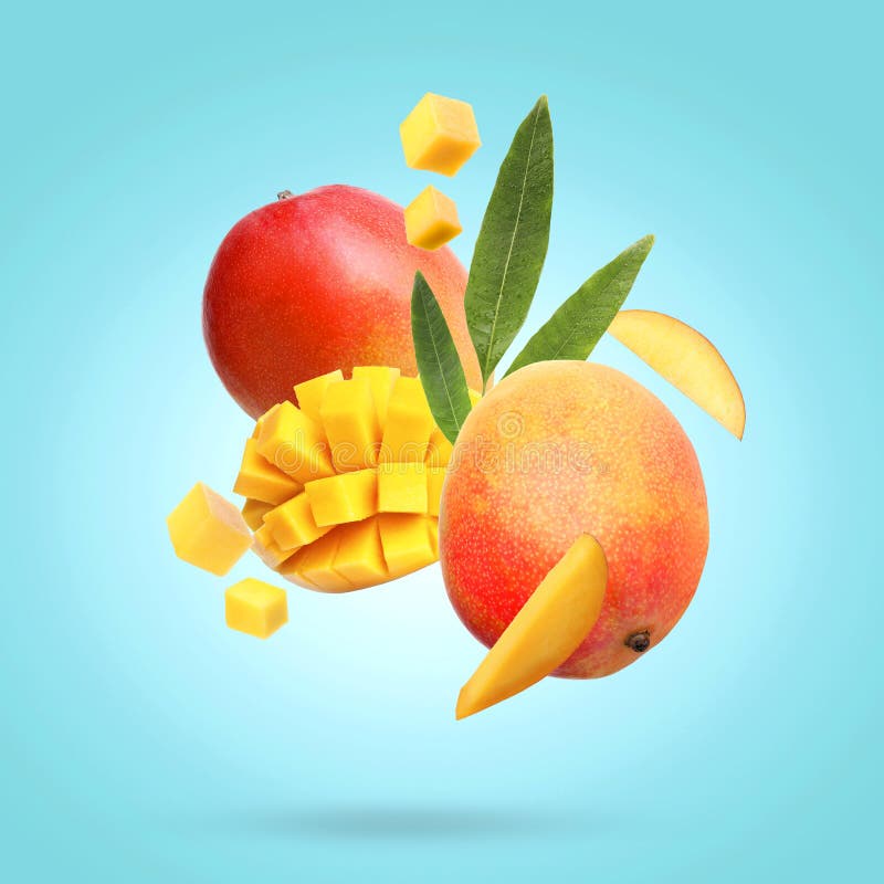 Delicious Mango Fruits and Leaves Falling on Turquoise Background Stock ...