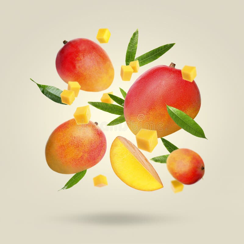Delicious Mango Fruits and Leaves Falling on White Stock Photo - Image ...