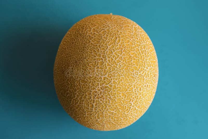 Delicious melon stock image. Image of fruit, vegetables - 125233579