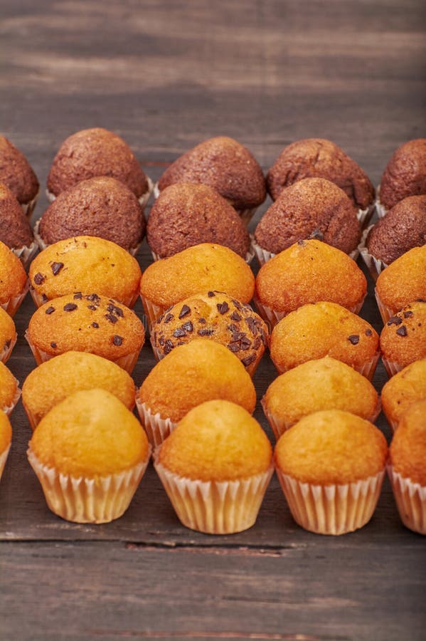 Delicious Mini Chocolate Flavor Muffins Stock Photo - Image of flavor ...