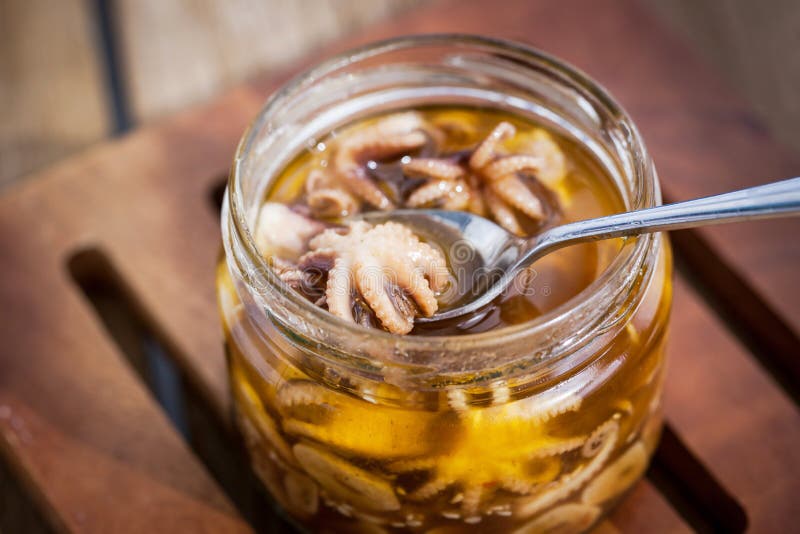 Delicious Octopus Appetizer Stock Image - Image of marinated, snack ...
