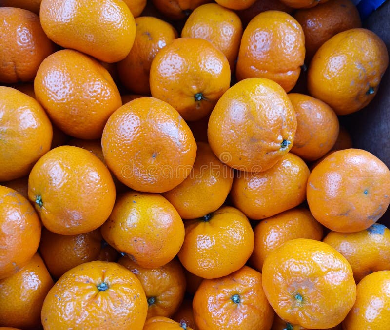Delicious oranges fruits. stock photo. Image of oranges - 318561246