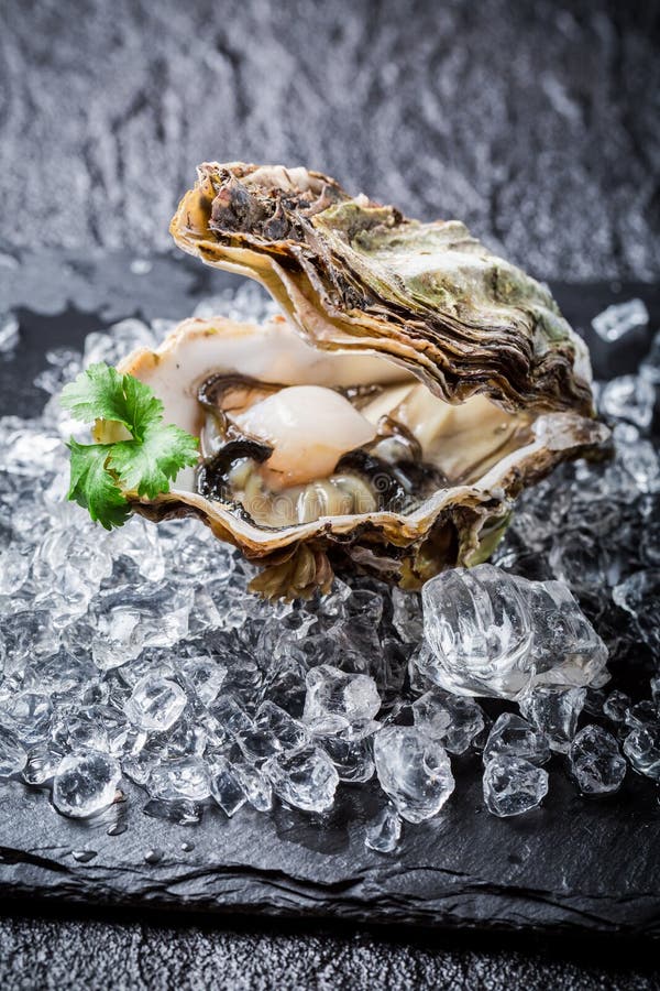 Delicious Oyster in Shell on Ice Stock Photo - Image of closeup ...