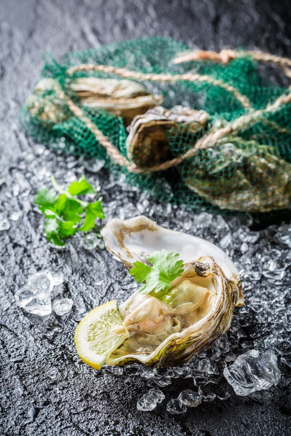 Delicious Oysters with Lemon Stock Image - Image of gourmet, black ...