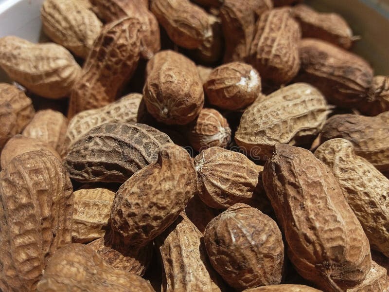 Delicious Peanuts stock image. Image of produce, walnuts - 234928267