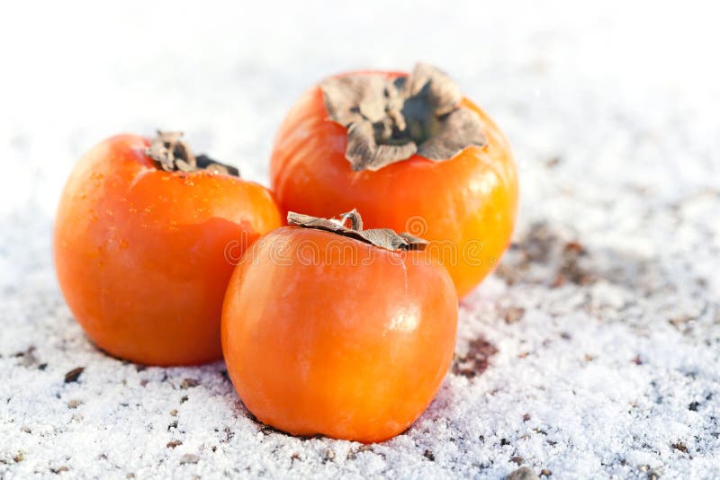 Delicious Persimmons on White Snow Stock Image - Image of fresh ...