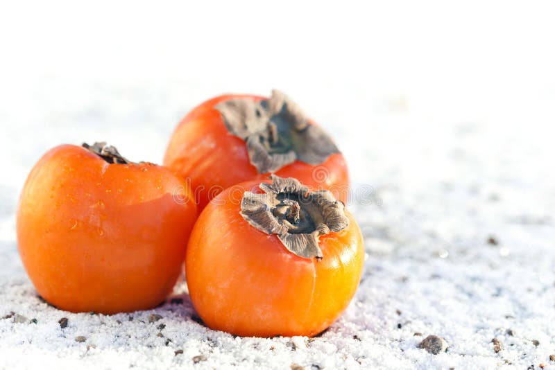 Delicious Persimmons on White Snow Stock Image - Image of snow, eating ...