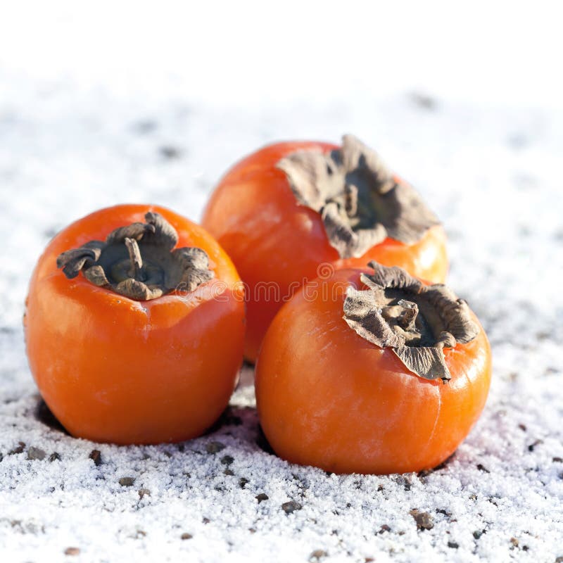 Delicious Persimmons on White Snow Stock Photo - Image of nutritious ...