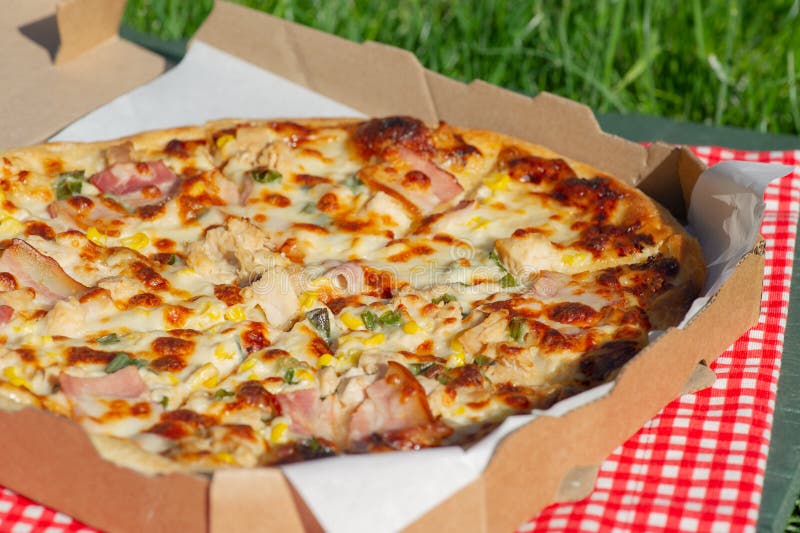 Delicious Pizza in a Box on a Checkered Tablecloth on the Grass ...