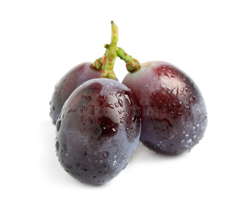 Delicious Purple Grapes with Water Drops Isolated on White Stock Photo ...
