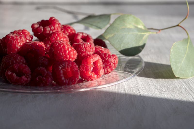 Delicious Raspberries on Plate with Green Leaves Next To it Stock Photo ...