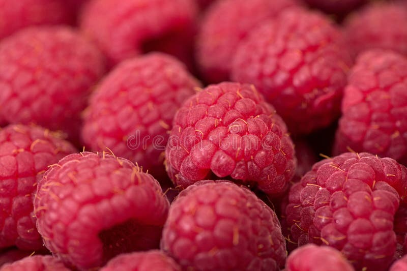 Raspberry stock image. Image of people, wallpaper, filling - 139508111