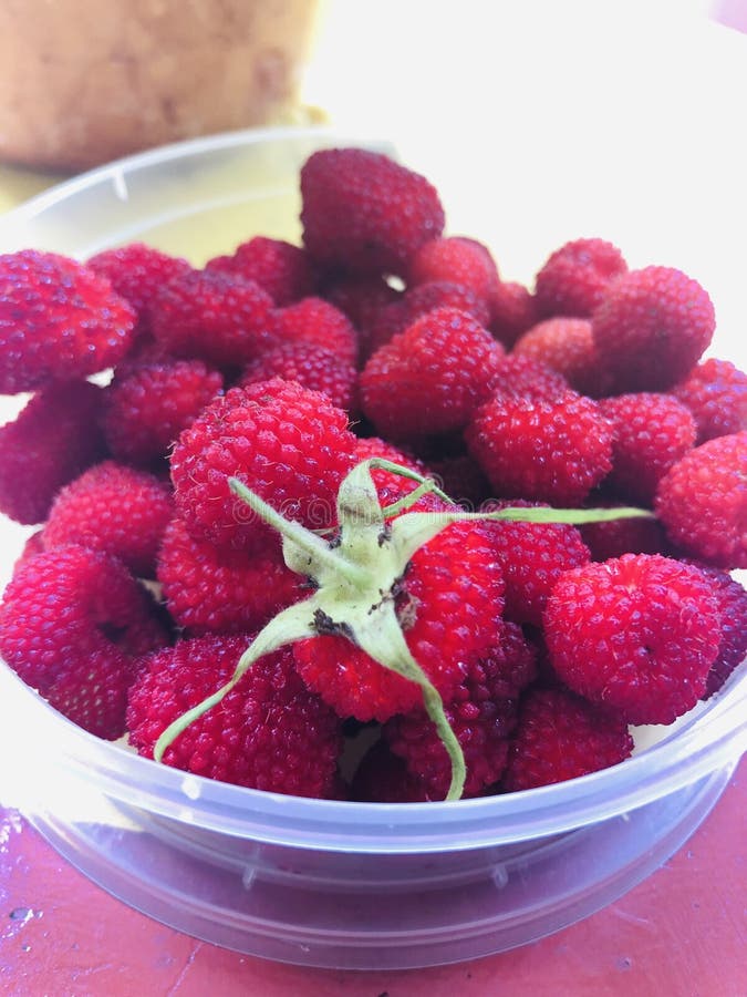 Raspberry fruits stock photo. Image of container, delicious - 170894408