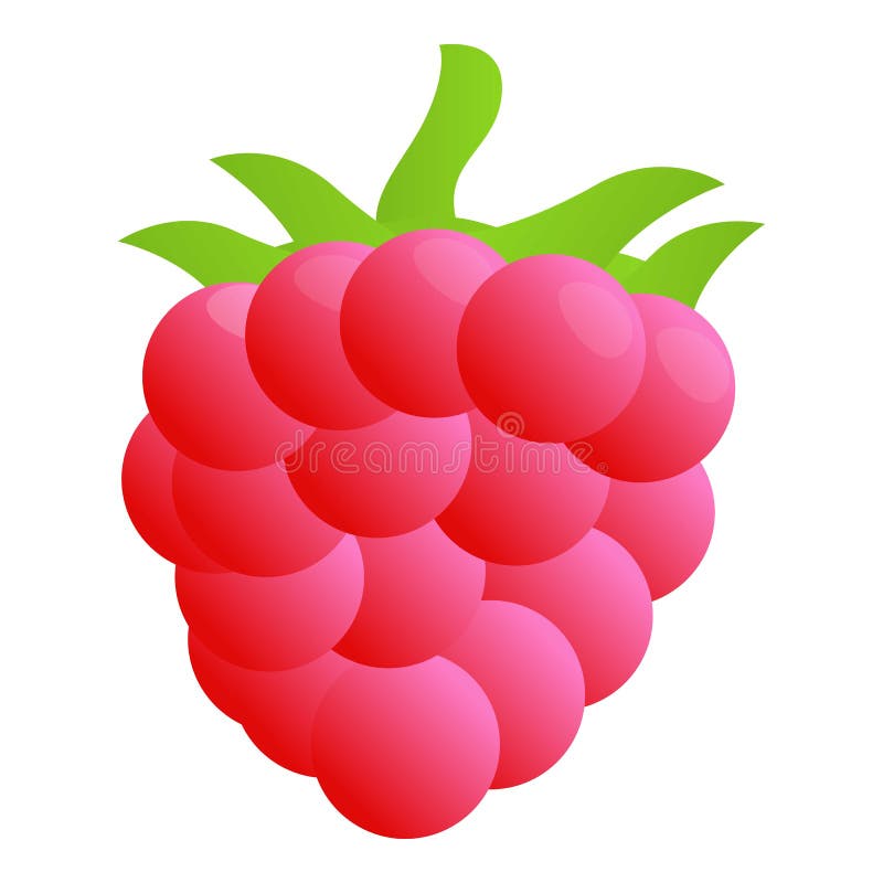 Delicious Raspberry Icon, Cartoon Style Stock Vector - Illustration of ...