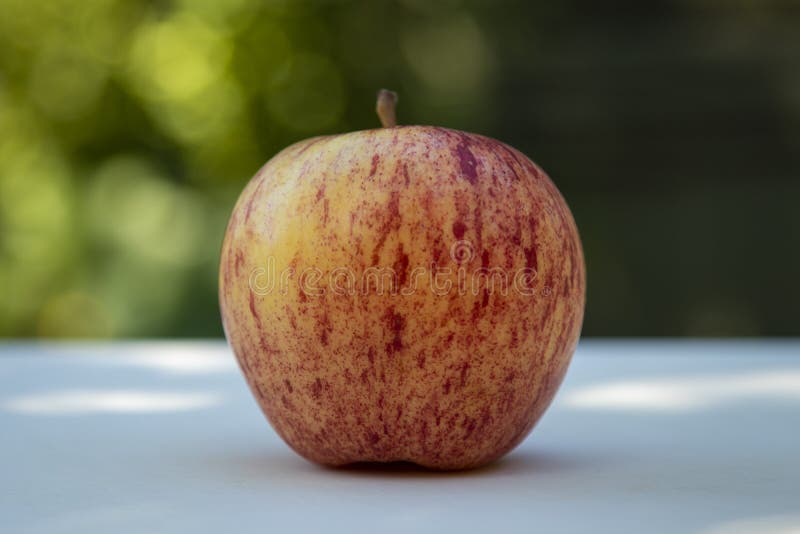 A Delicious Red Apple Close Up Stock Photo - Image of freshness, fresh ...