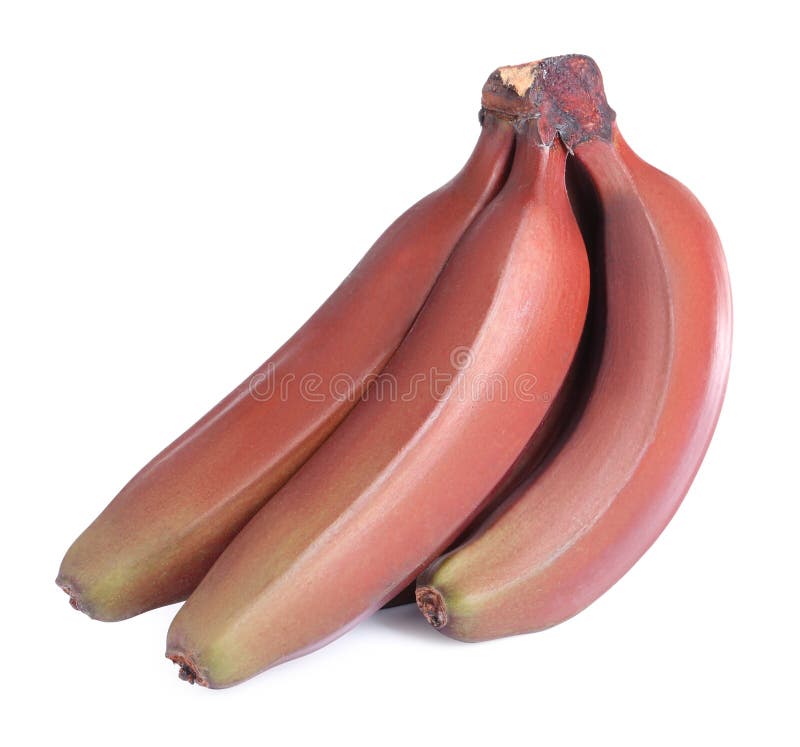 Delicious Red Baby Bananas on White Background Stock Image - Image of ...