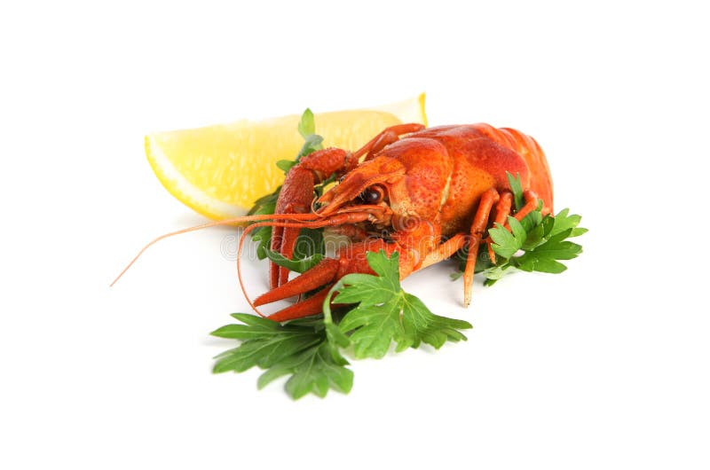 Delicious Red Boiled Crayfish with Lemon and Parsley Isolated on White ... Delicious Red Boiled Crayfish with Lemon and Parsley Isolated on White ...