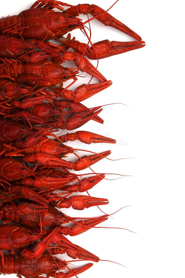 Delicious Red Boiled Crayfish on White Background, Top View Stock Photo ... Delicious Red Boiled Crayfish on White Background, Top View Stock Photo ...
