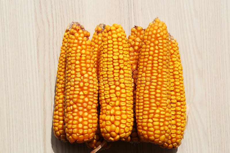Delicious Ripe Corn Cobs on White Wooden Table, Top View Stock Image ...