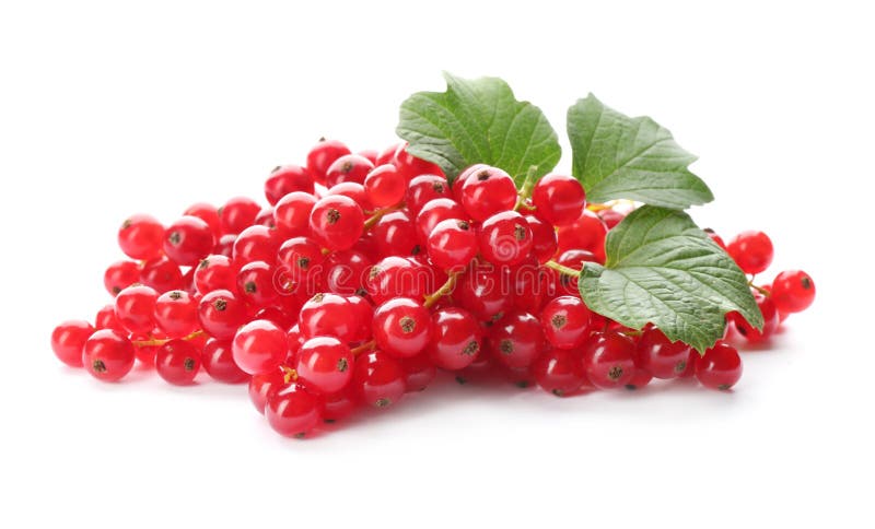 Delicious Ripe Red Currants Isolated on White Stock Photo - Image of ...