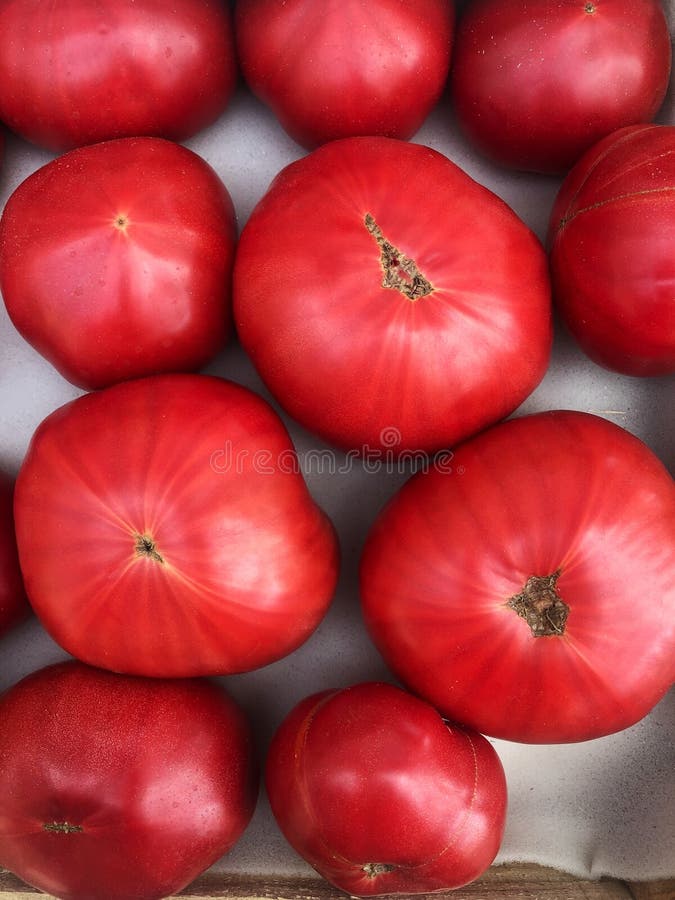 Delicious Ripe Red Tomatoes on the Market Stock Photo - Image of nature ...