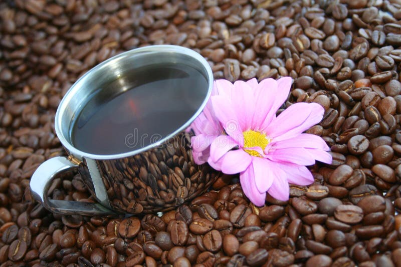 Delicious roasted Coffee stock photo. Image of cafe, espresso - 2067162