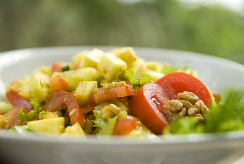 Delicious salad stock photo. Image of tomatoes, fresh - 14855926