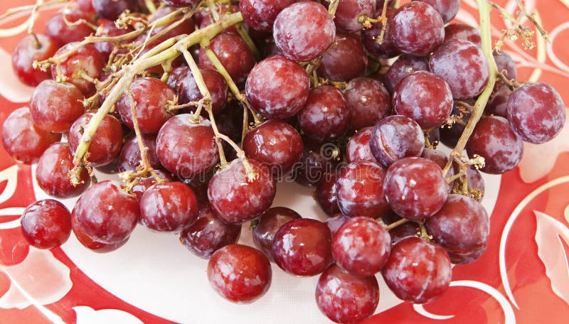 Delicious Seedless Red Grapes Stock Image - Image of season, sugar ...