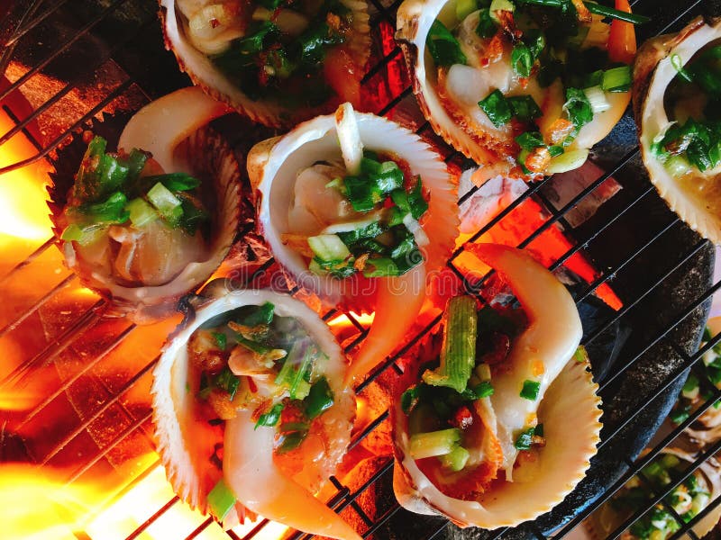 Delicious Shell or Clams Mussels on Hot Fire Coal Grill Stock Image ...