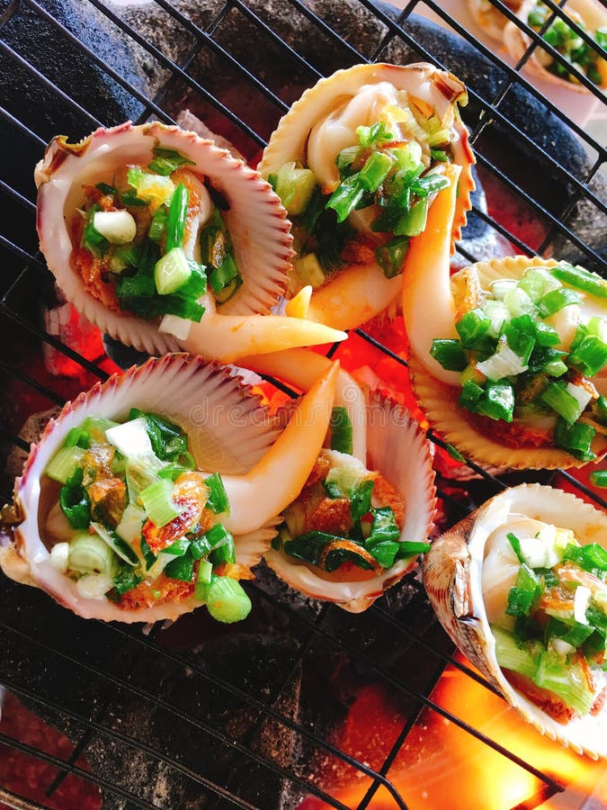 Delicious Shell or Clams Mussels on Hot Fire Coal Grill Stock Image ...
