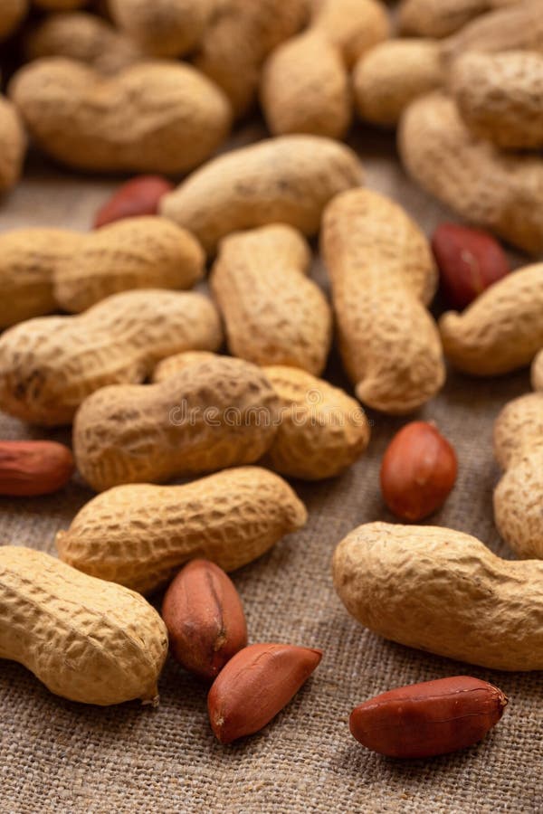 Delicious Shelled Peanuts on Burlap. Peanut Background Stock Image ...
