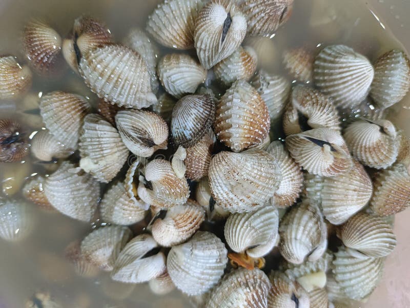 Shellfiish Dishes Stock Photos - Free & Royalty-Free Stock Photos from ...